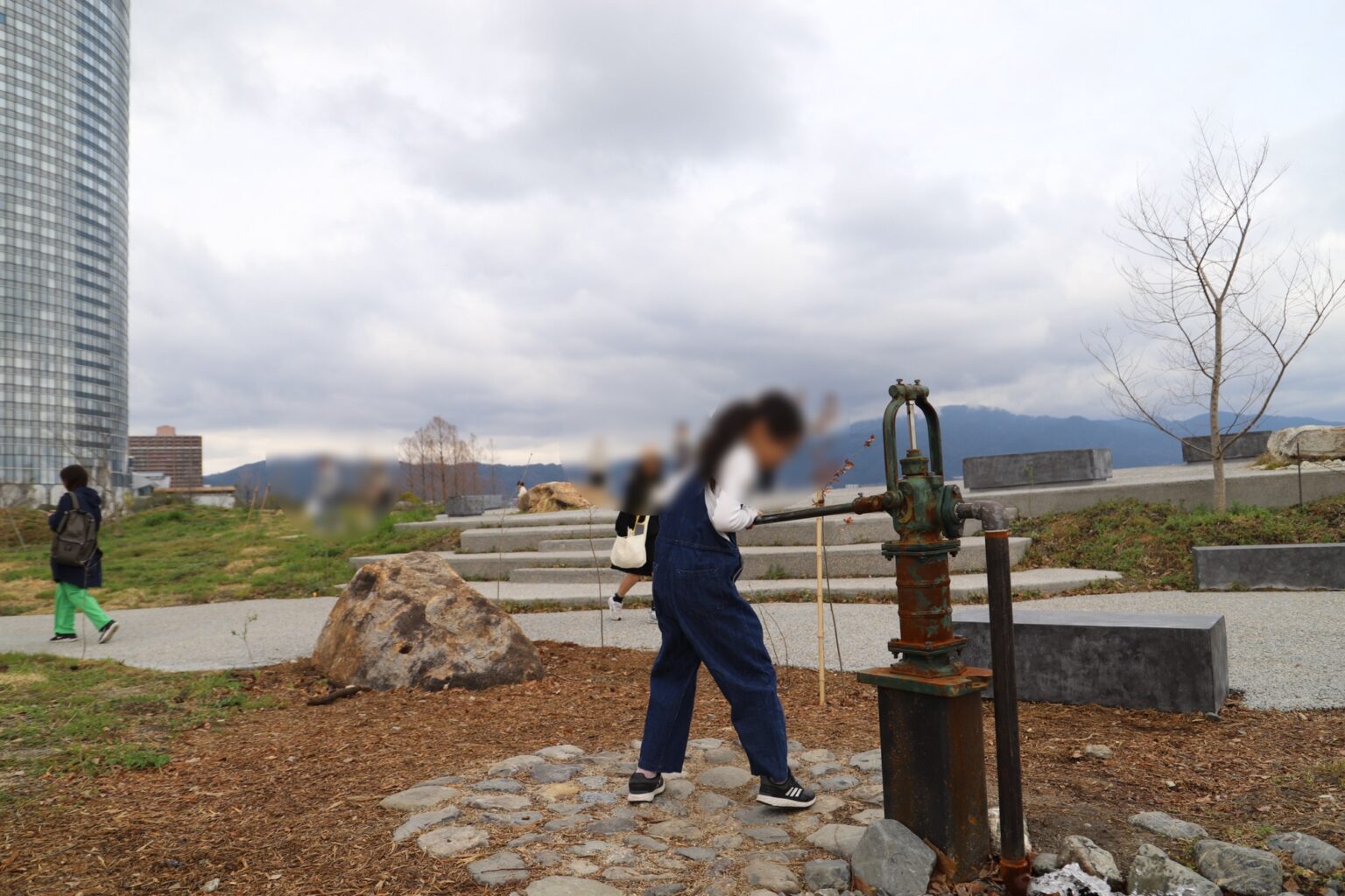 【体験ﾚﾎﾟ】たねや/LAGO(ﾗｰｺﾞ)大津の限定商品は?ｶﾌｪﾒﾆｭｰについても | Museblog