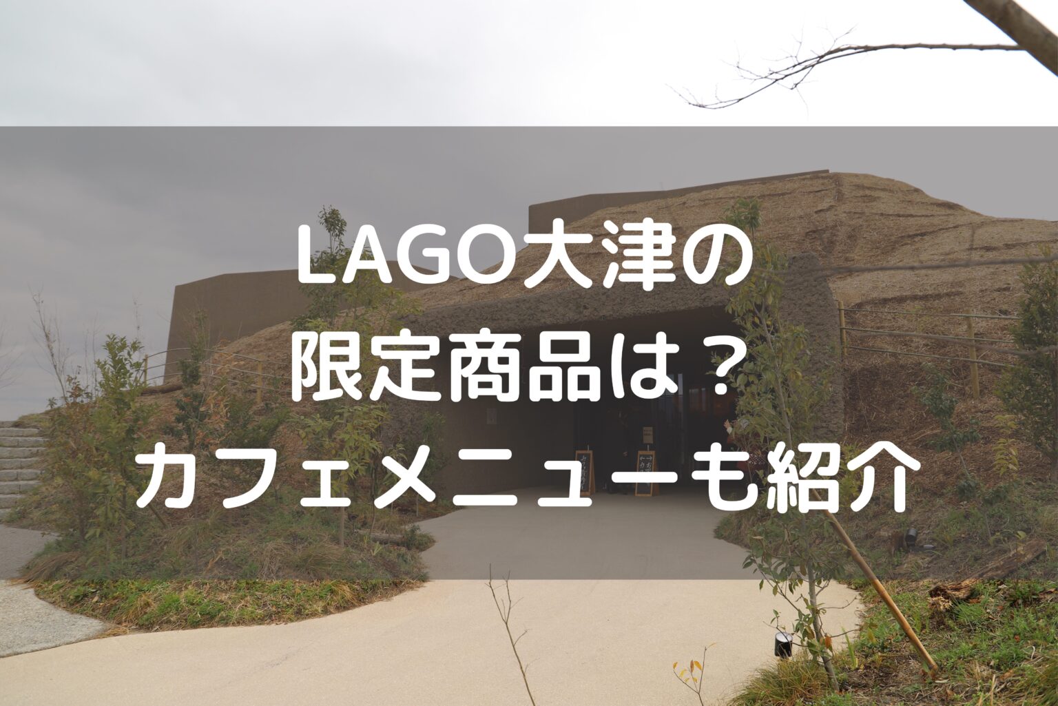 【体験ﾚﾎﾟ】たねや/LAGO(ﾗｰｺﾞ)大津の限定商品は?ｶﾌｪﾒﾆｭｰについても | Museblog