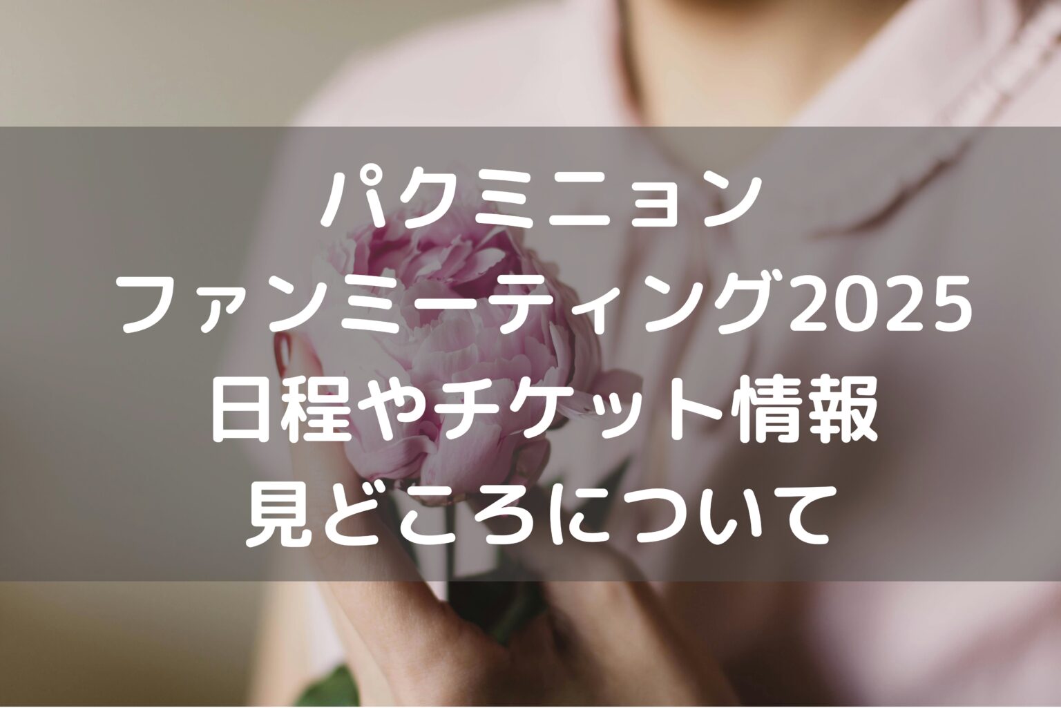 ﾊﾟｸﾐﾆｮﾝﾌｧﾝﾐｰﾃｨﾝｸﾞ2025東京神戸ﾁｹｯﾄ取り方や日程まとめ | Museblog